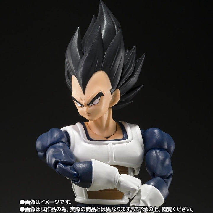 Vegeta Older Style Battle Armor – Figure Grail